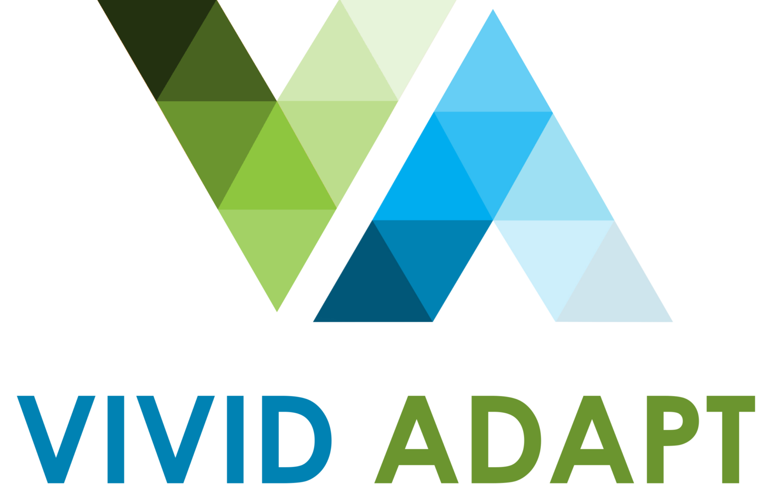 IT Roadmap – Vivid Adapt